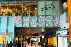 実績紹介 - さくら・桜装飾｜メディック